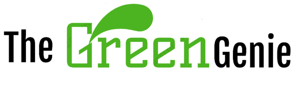 Green Screen Software - Professional green screen replacement for event ...